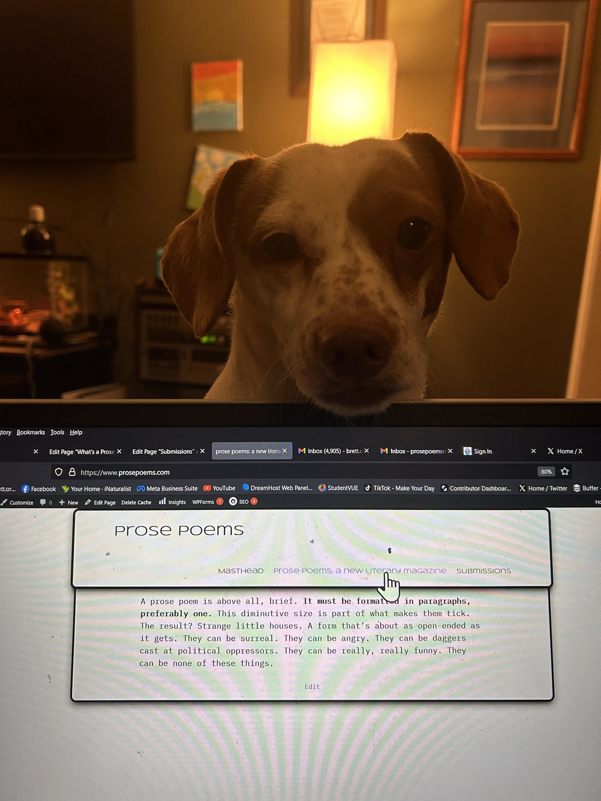 Masthead - prose poems