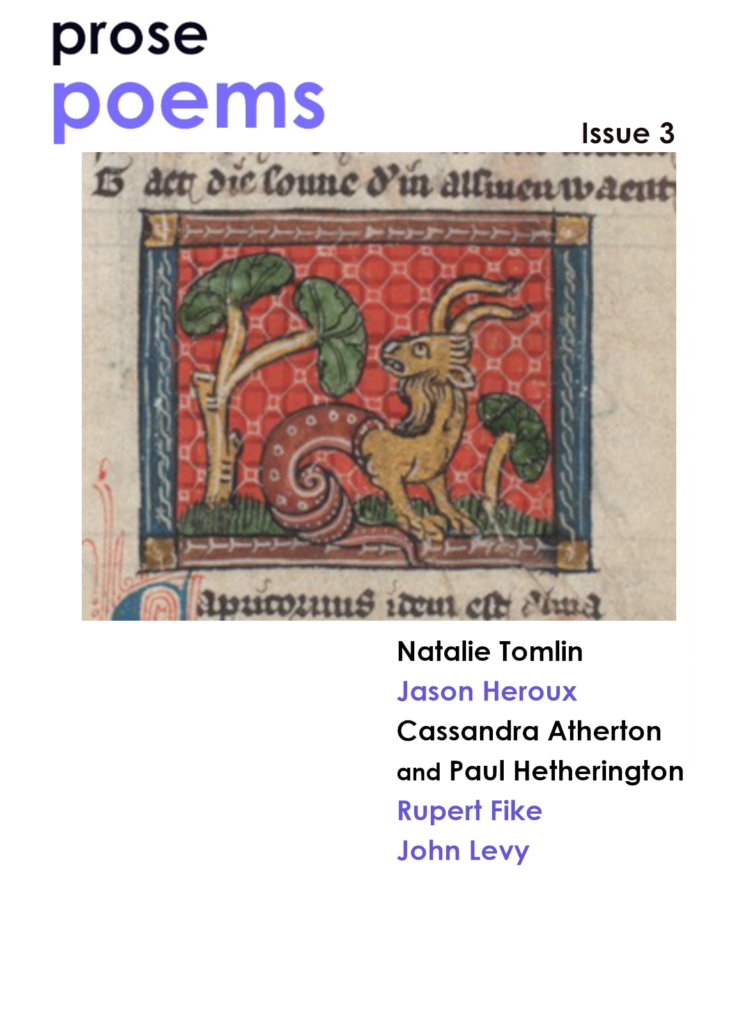 Issue 3, January 2024 - prose poems